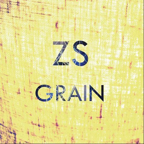 ZS - Grain | Music Review | Tiny Mix Tapes