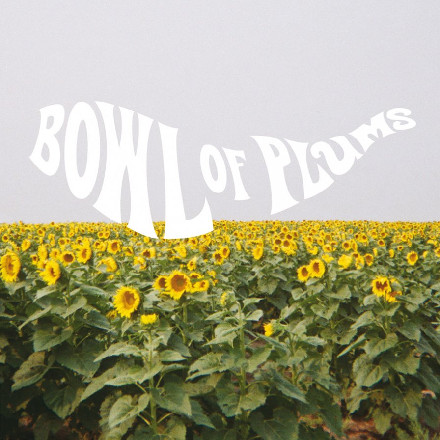 Ben Seretan - “Cottonwood Tree” | PREMIERE | Chocolate Grinder | Tiny ...