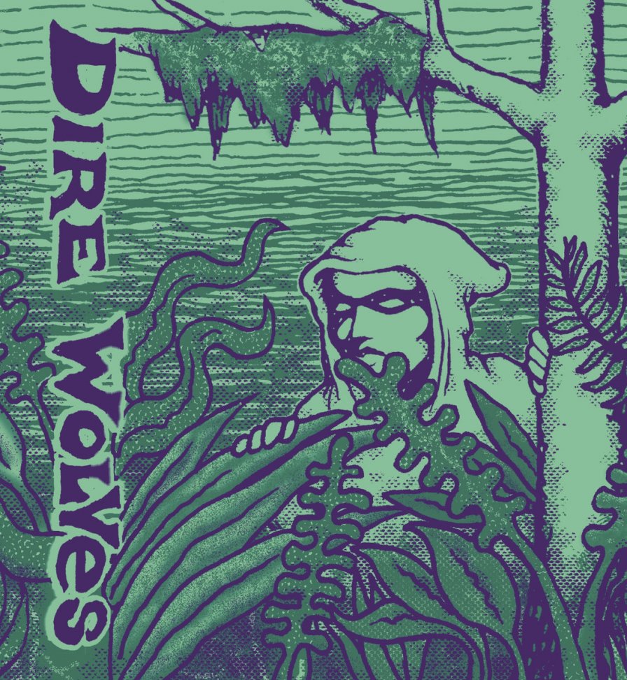 Dire Wolves (Just Exactly Perfect Sisters Band) - Shootout At The Dildo ...